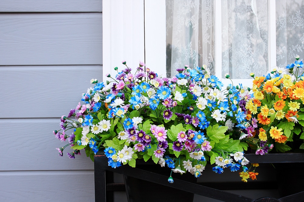 Planting a spring window box: Our top tips and tricks