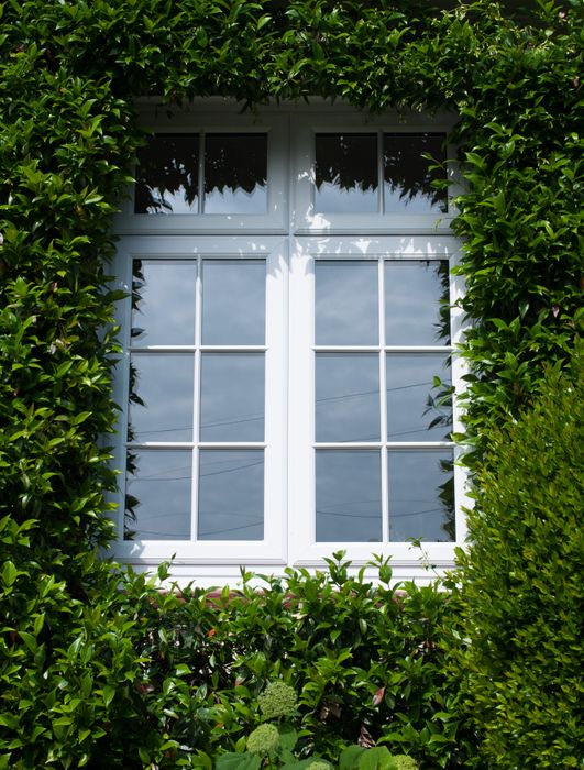 Ideal Home Show Window